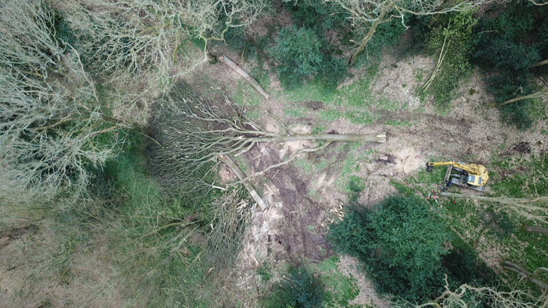 Case studies | Joe Court Forestry