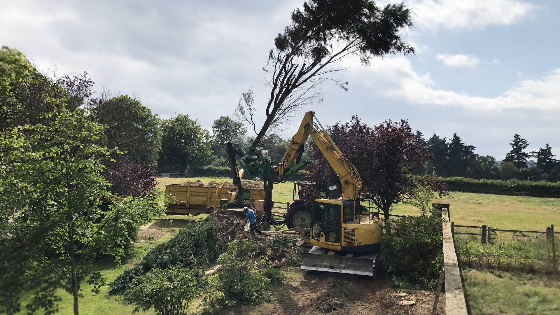 Commercial tree surgery | Joe Court Forestry