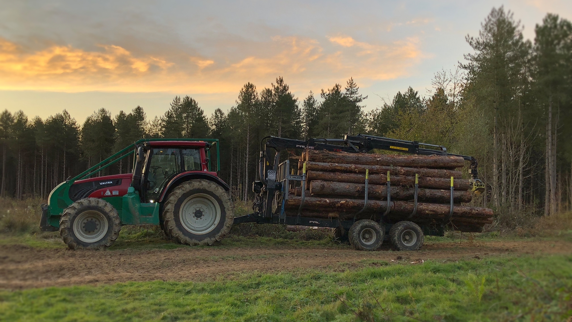 Contact | Joe Court Forestry