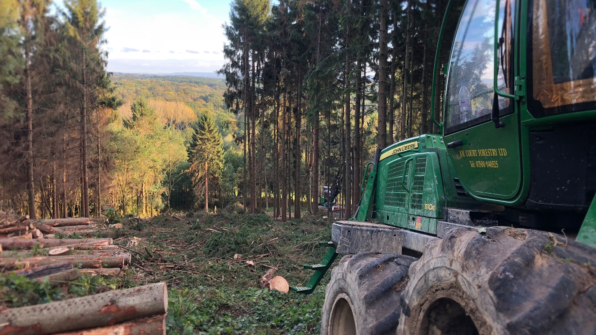 Services | Joe Court Forestry